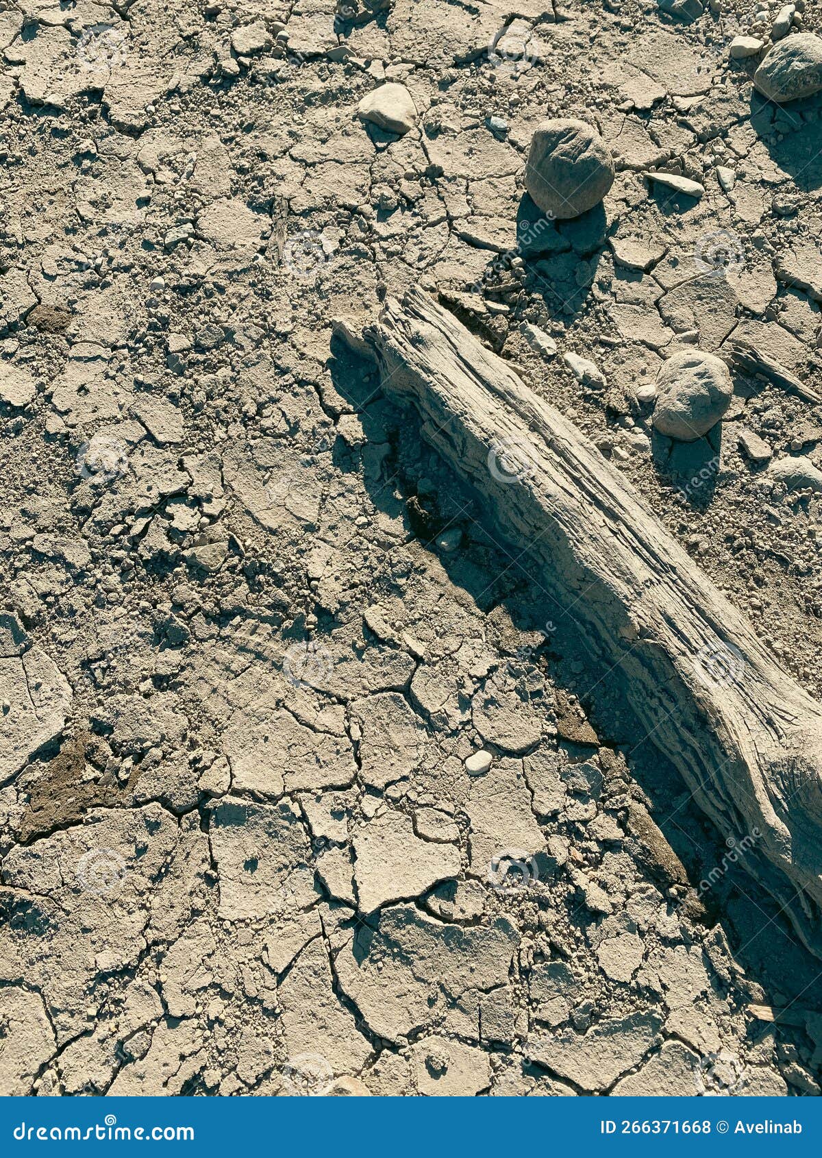 Texture of Cracked Bottom of the River. Background Cracked Earth the ...