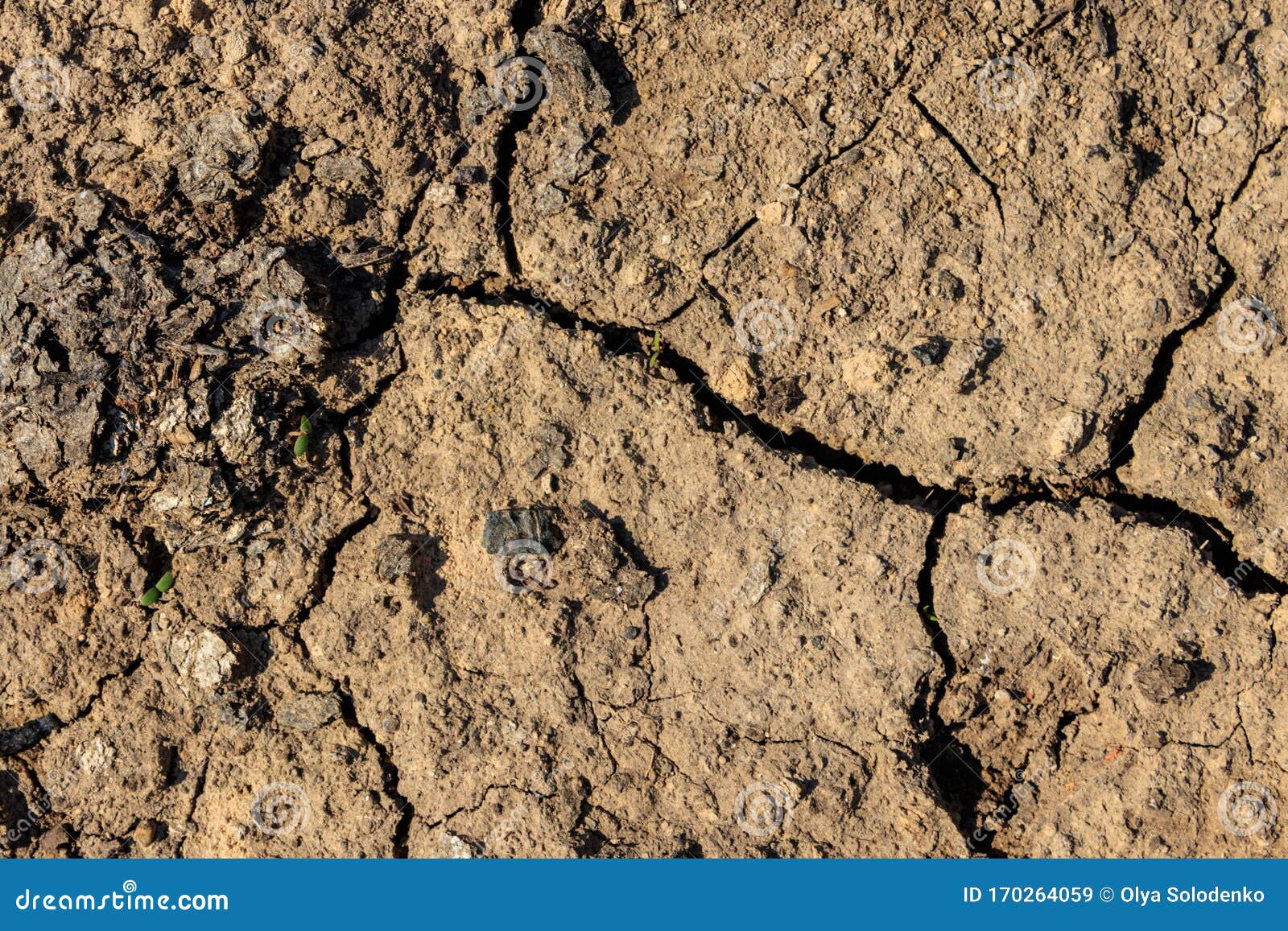 Texture of Cracked Dry Ground for Background Stock Image - Image of ...