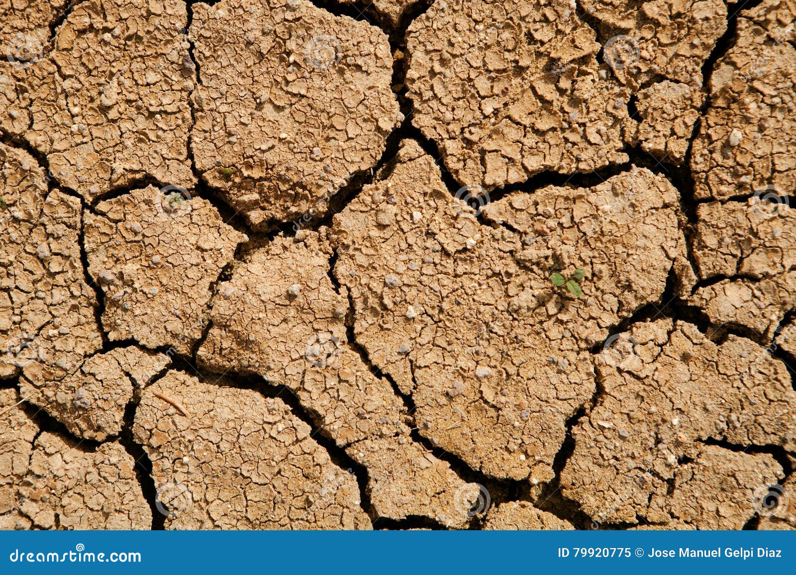 Texture Cracked, Dry the Surface of the Earth. Earth Turned into Stock ...