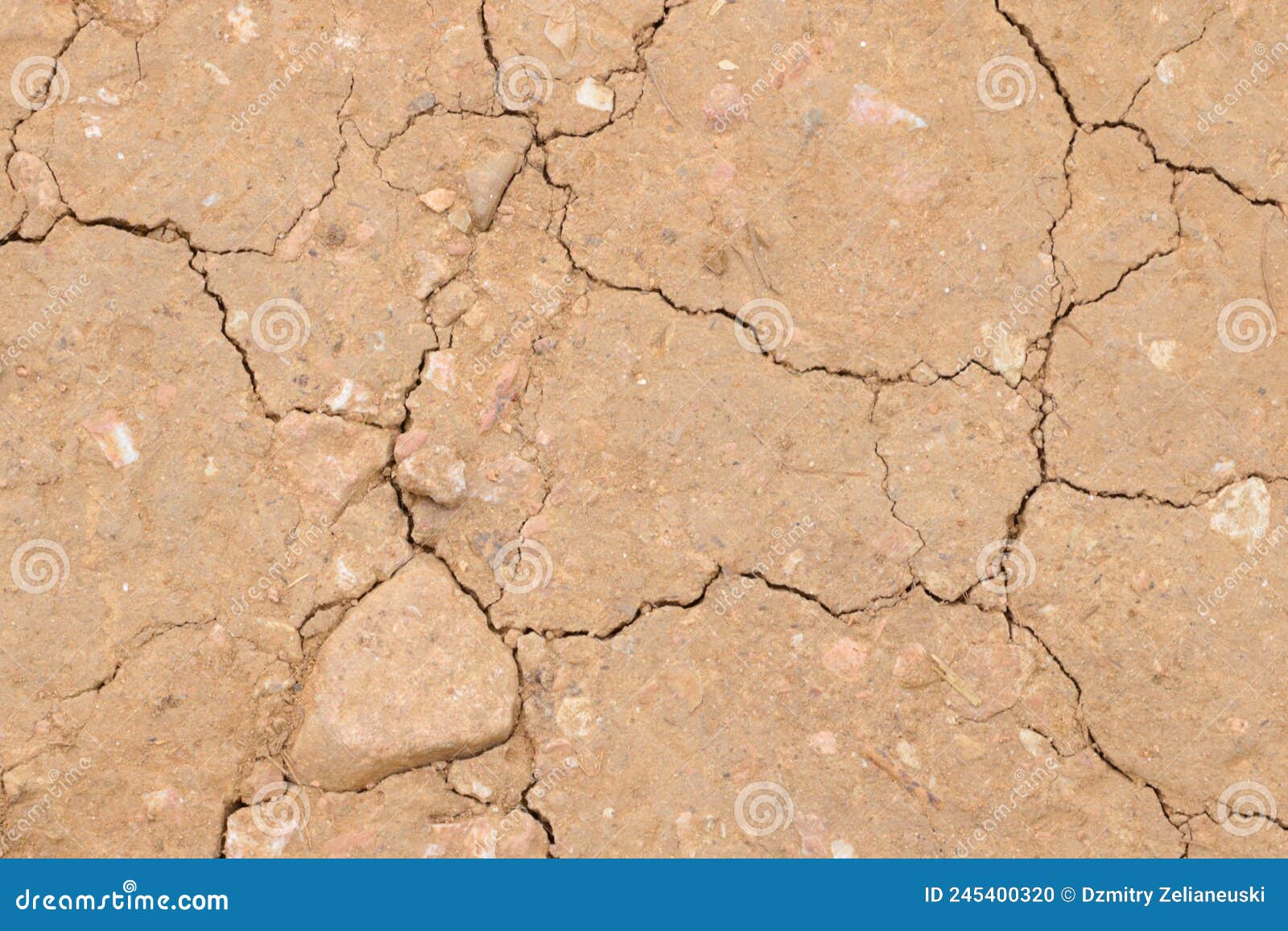 Texture of Cracked Earth, Background. Soil Texture. Stock Photo - Image ...