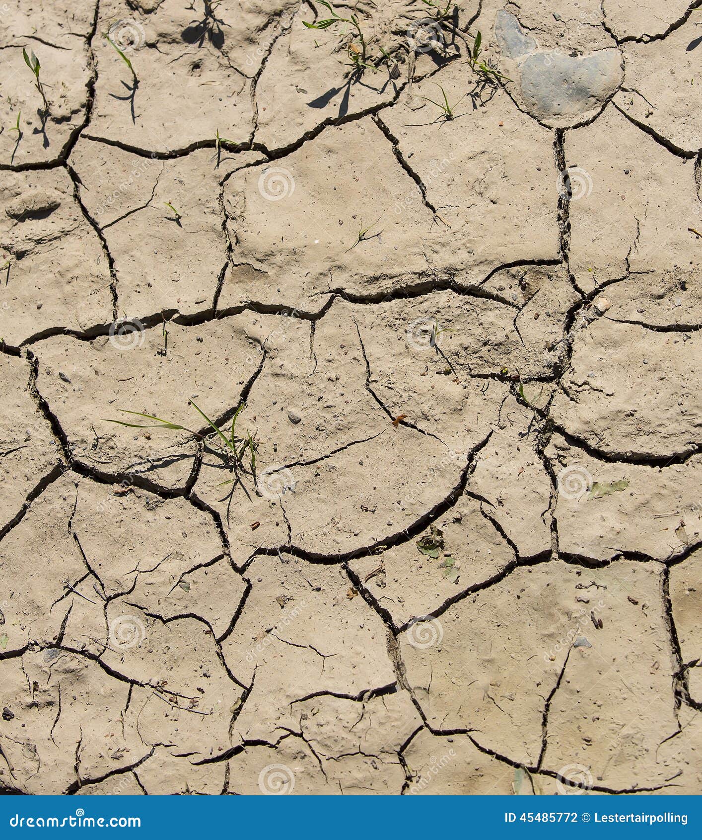 Texture of cracked earth stock photo. Image of land, climate - 45485772