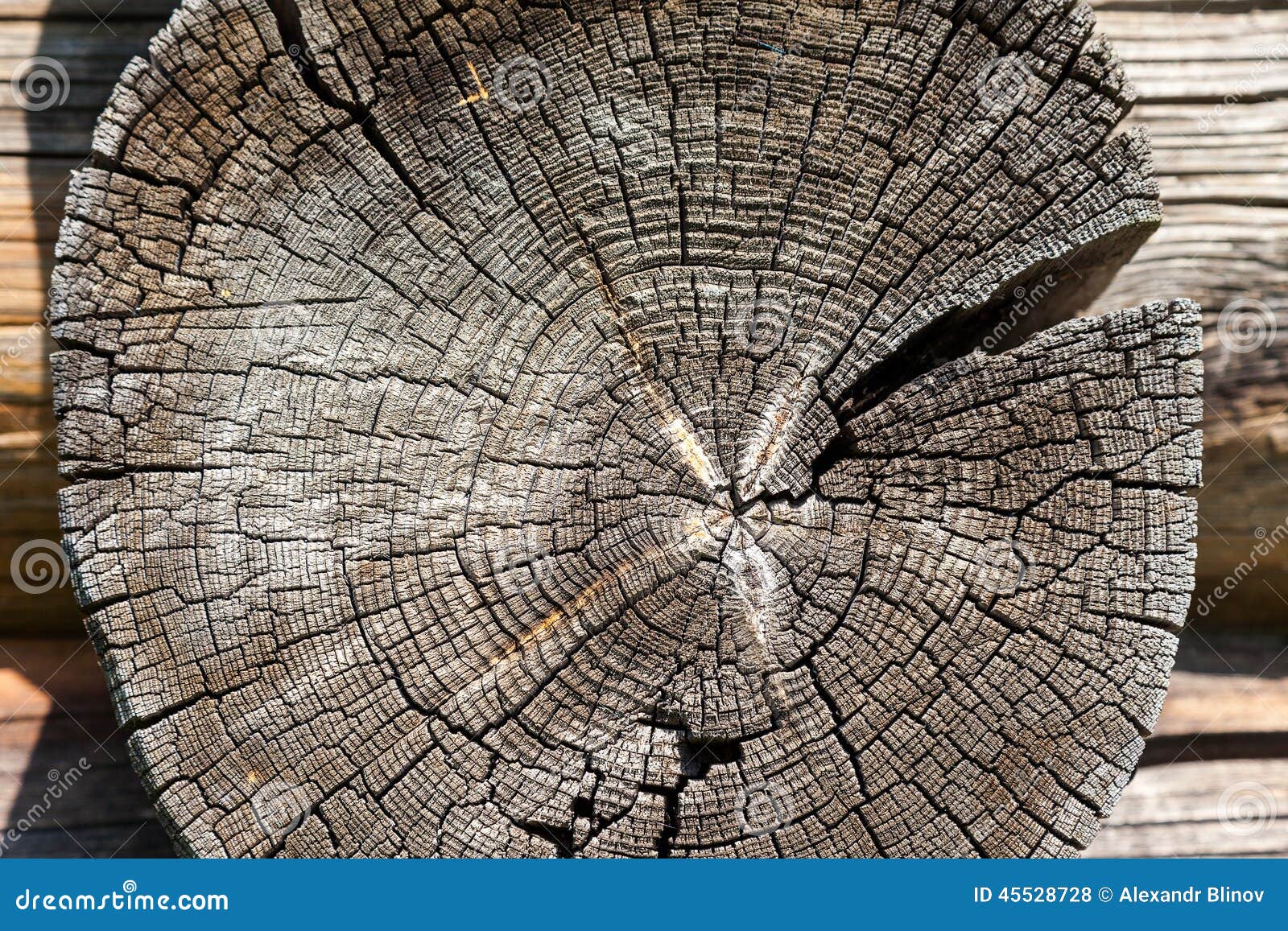 Texture of Cracked End of Log of Old Wooden House Stock Photo - Image ...