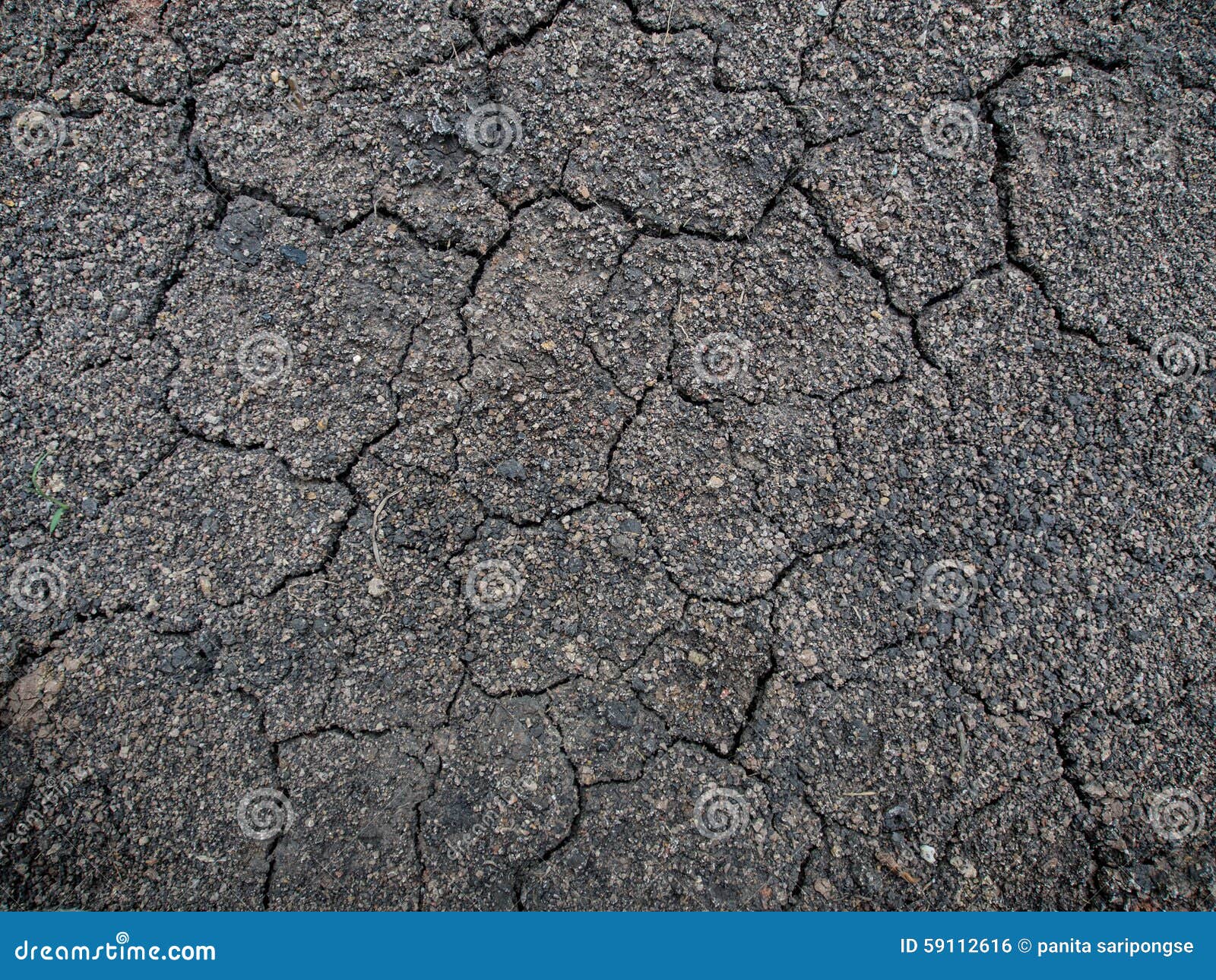 Texture of cracked soil stock photo. Image of clay, dirt - 59112616
