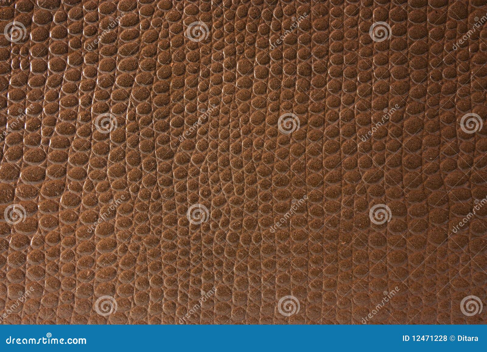 Crocodile Skin Texture Royalty-Free Stock Photography | CartoonDealer ...