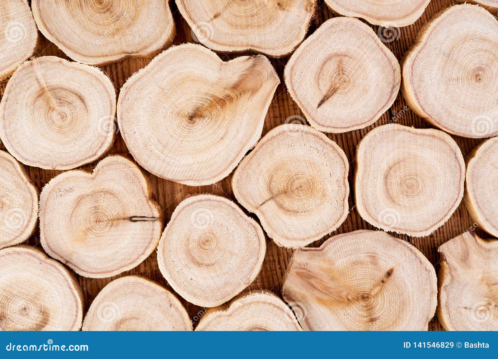 Texture of Cross Section Juniper Wood. Pattern of Tree Stump Background ...
