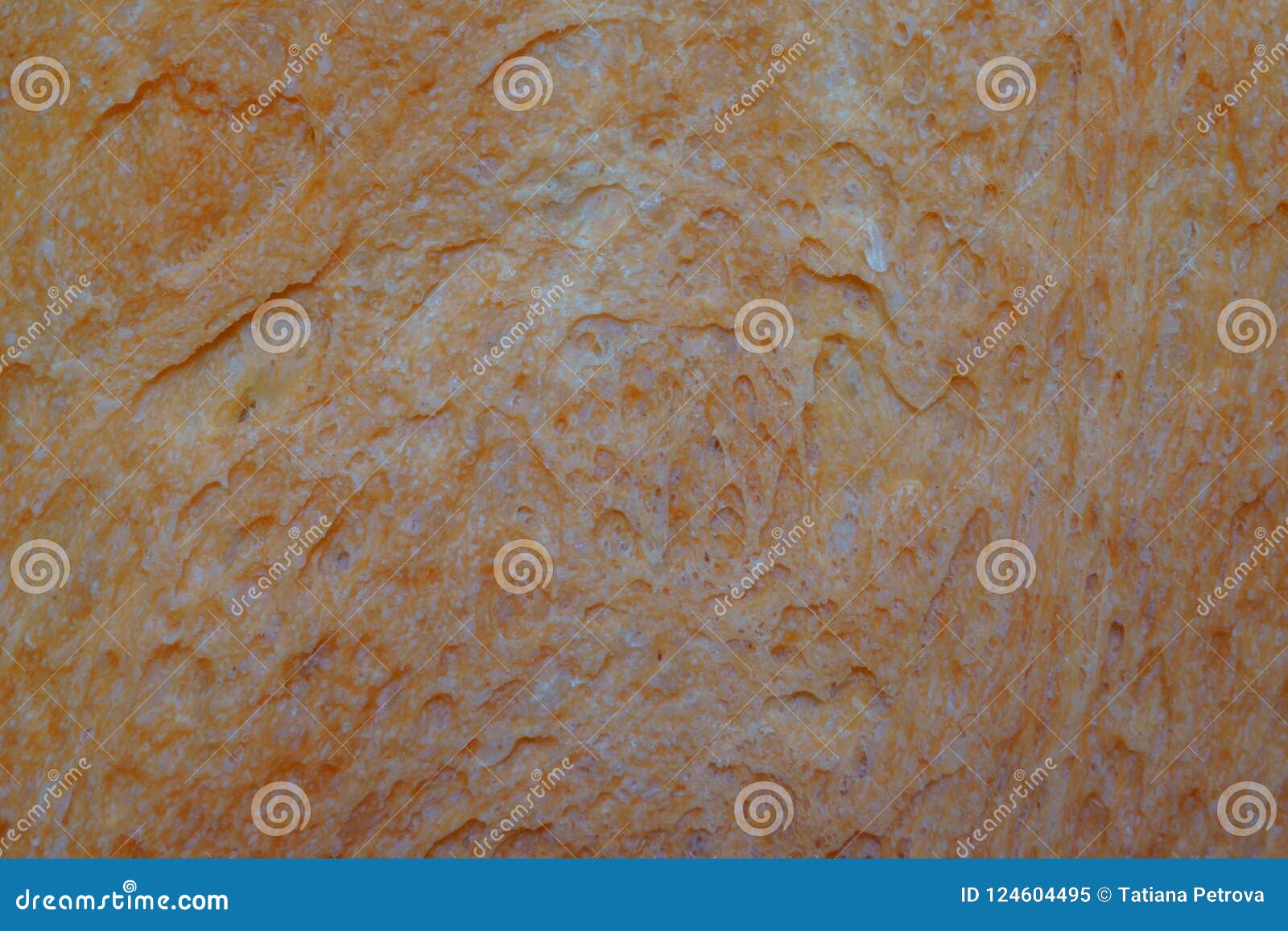 Texture crust bread stock image. Image of delicious - 124604495
