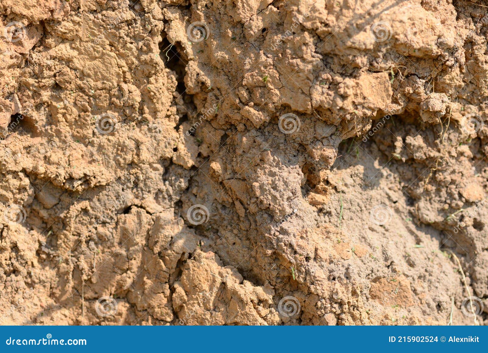 Texture of the Cut of the Earth with a High Content of Clay Stock Photo ...