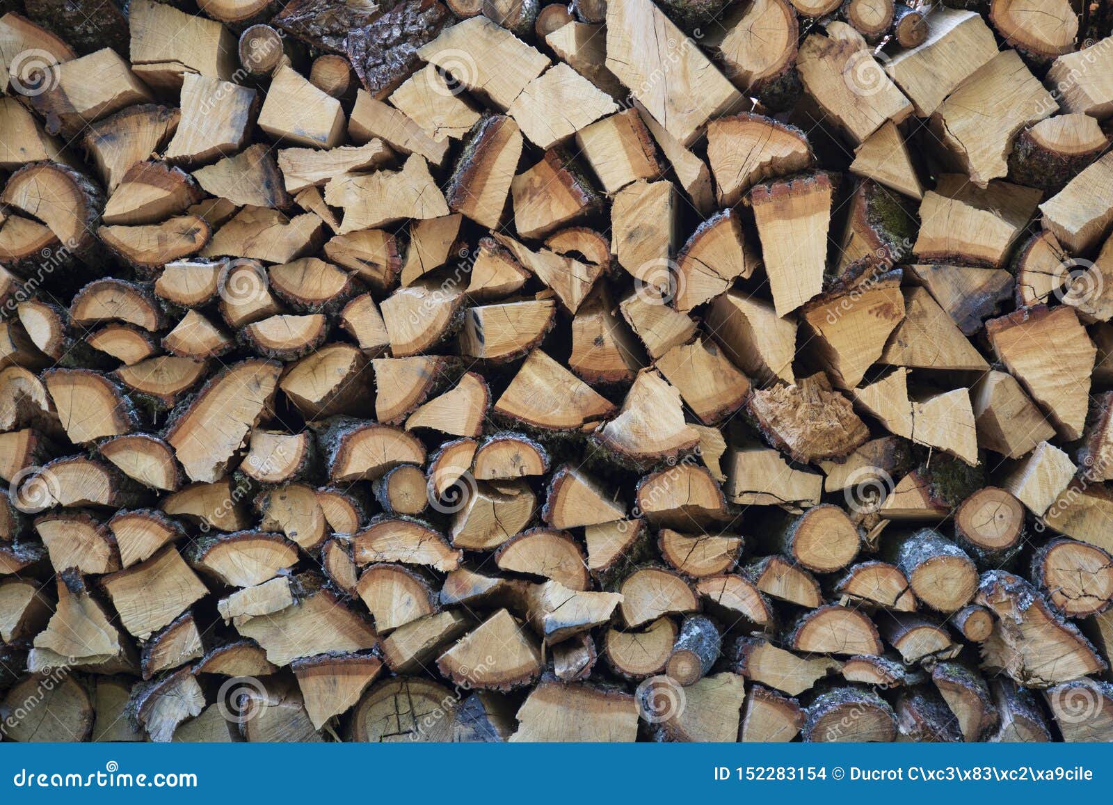 Texture of a Cut Pile of Wood Stock Photo - Image of woodpile, material ...