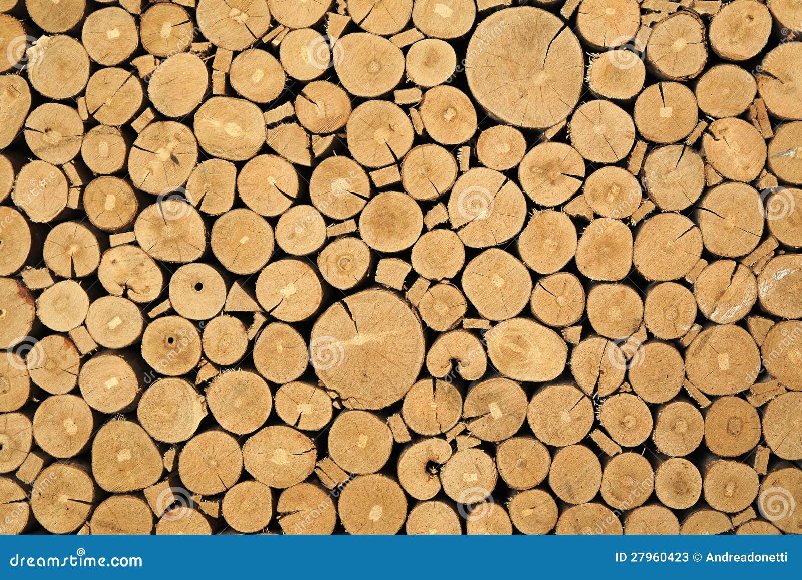 Texture Of Cut Timber Logs Royalty-Free Stock Photo | CartoonDealer.com ...