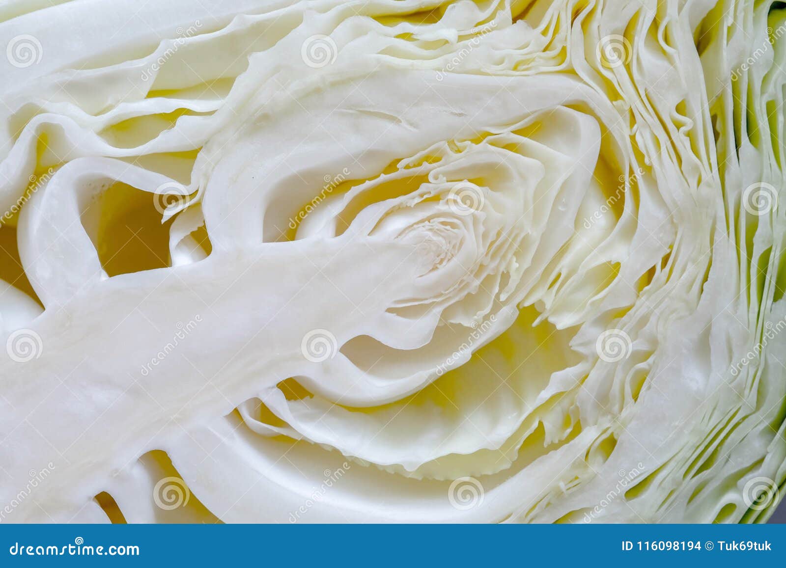 Texture of Cut White Cabbage Showing Inside Curved Surface Stock Photo ...