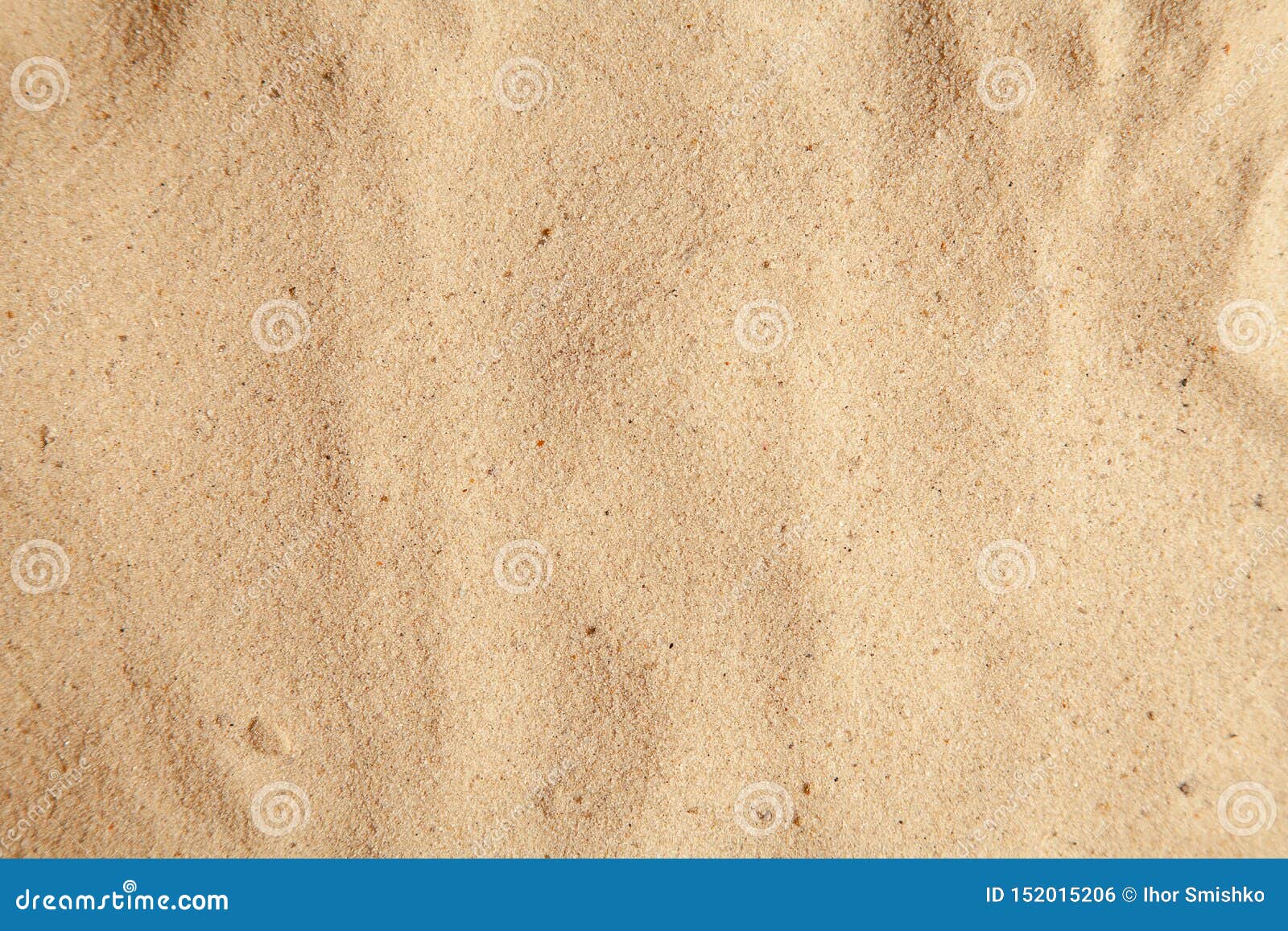 Texture For 3D. Beach Sand Top View. Dunes / Sand Beach Texture ...