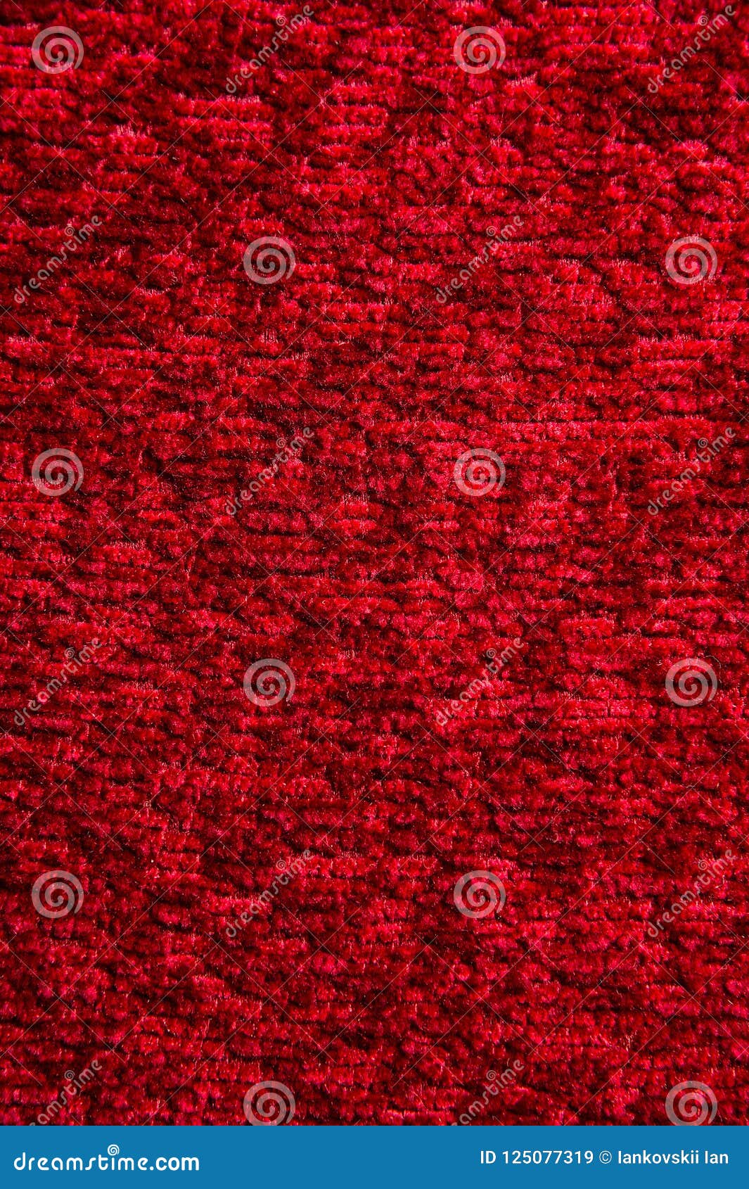 Texture of a Dark Red Carpet. Close-up of Gradient Light Stock Image ...