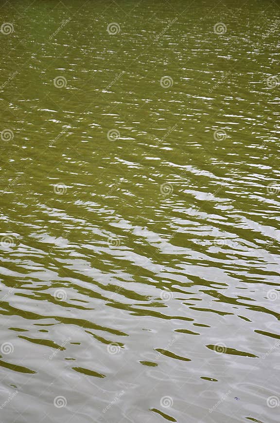 The Texture of Dark River Water Under the Influence of Wind, Imprinted ...