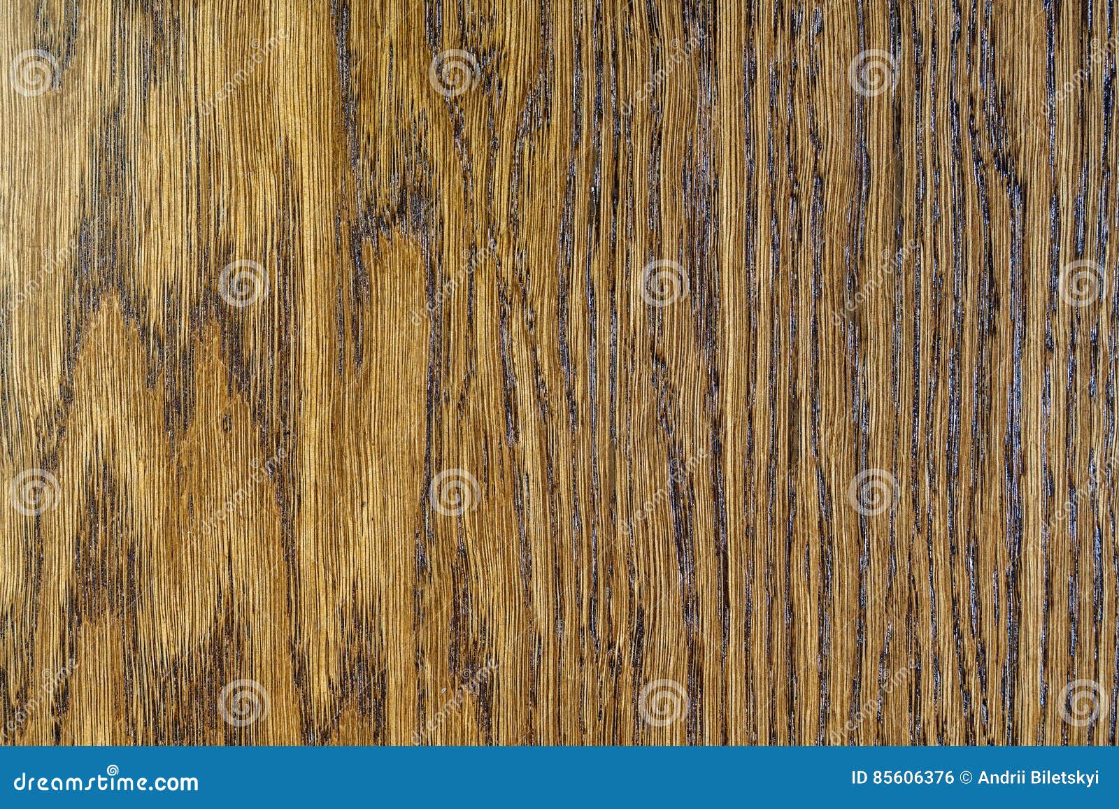 Texture of Dark Wood Timber Use As Natural Background Stock Photo ...