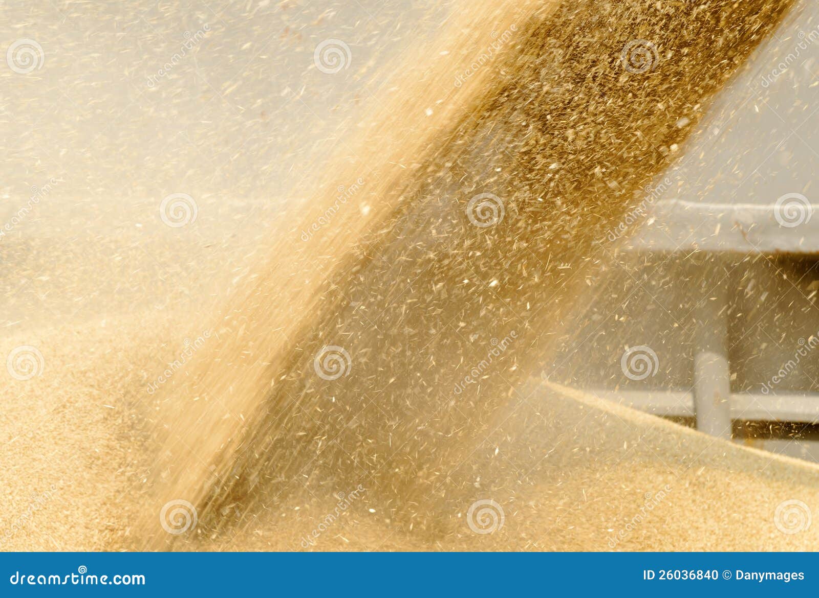 Texture de blé photo stock. Image du texture, charge - 26036840