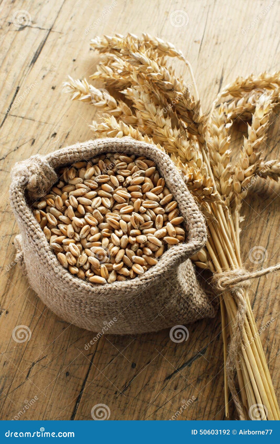 Texture de blé photo stock. Image du farine, normal, céréale - 50603192