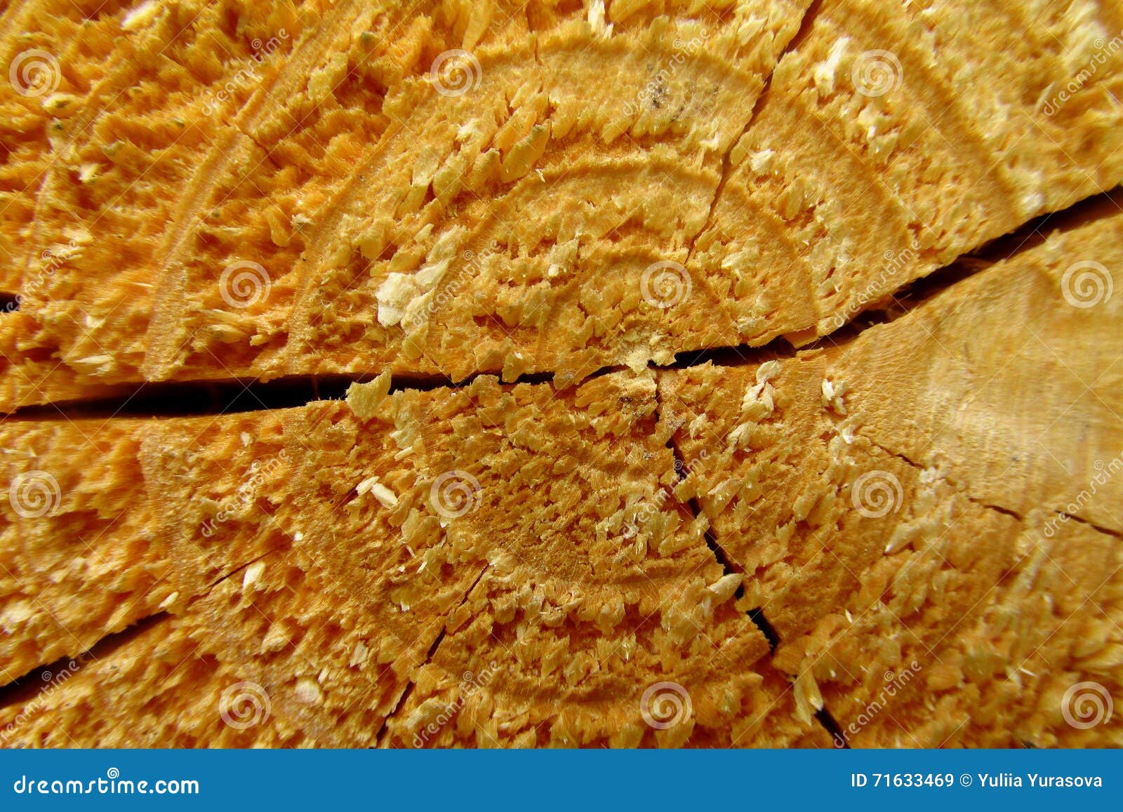 Texture De Bois Sur Un Rondin Image stock - Image du journal, personne ...