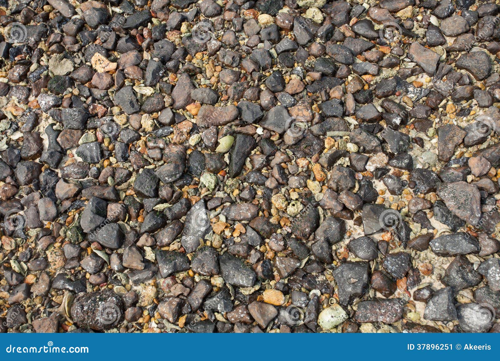 Texture de caillou image stock. Image du humide, fond - 37896251