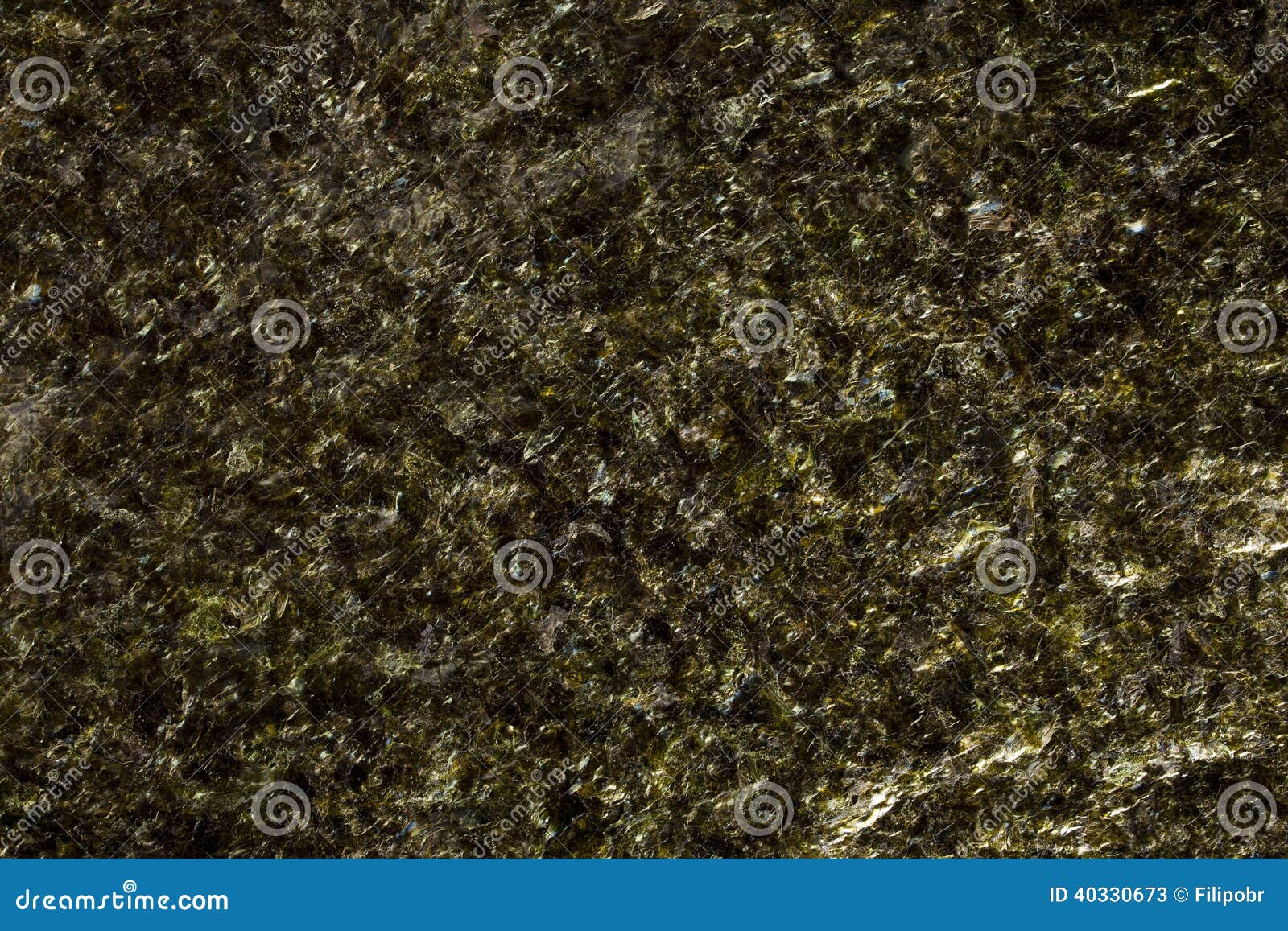Texture de fond d'algue image stock. Image du transparent - 40330673