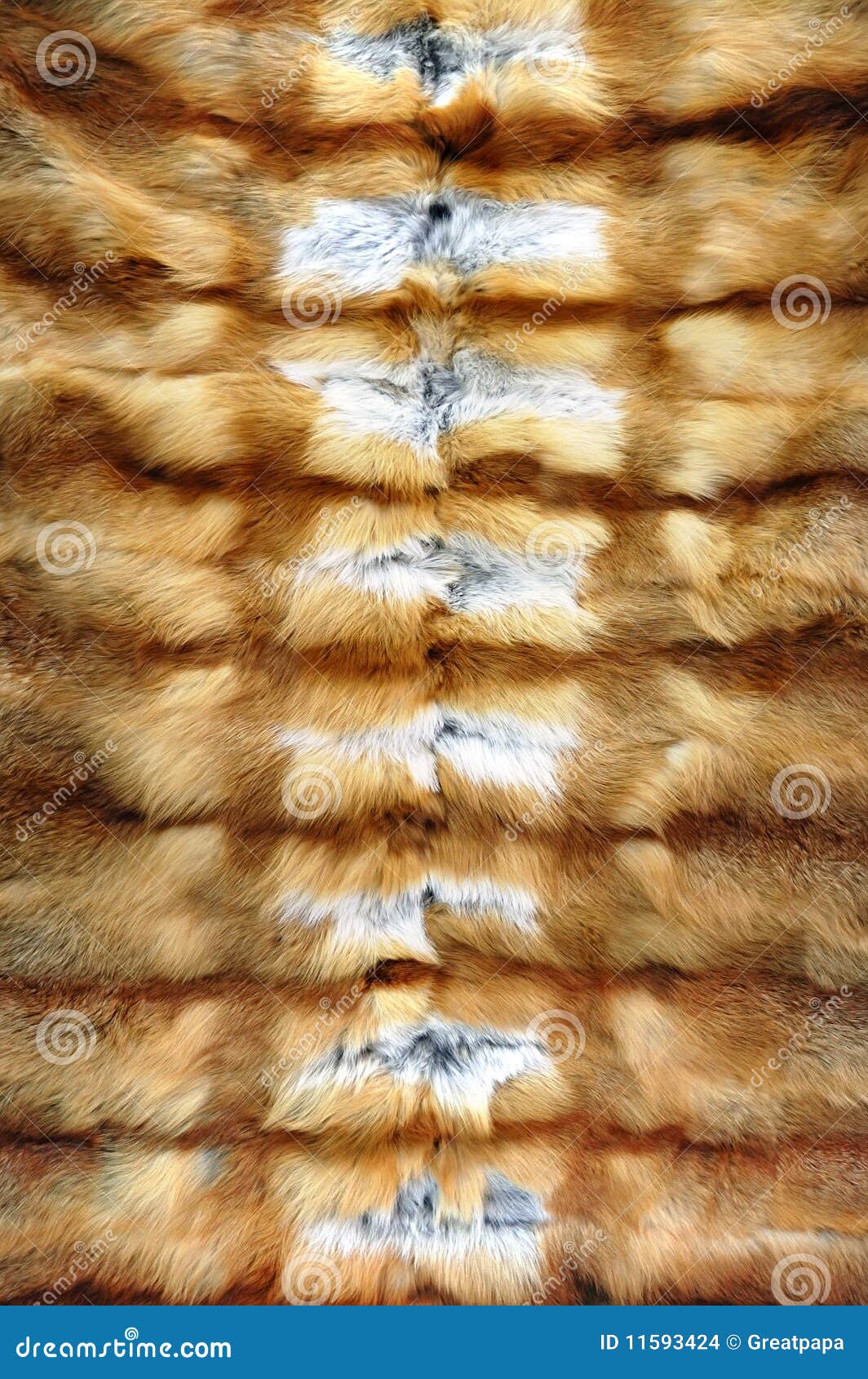 Texture De Fond De Fourrure De Fox Photo stock - Image du peau, fond ...