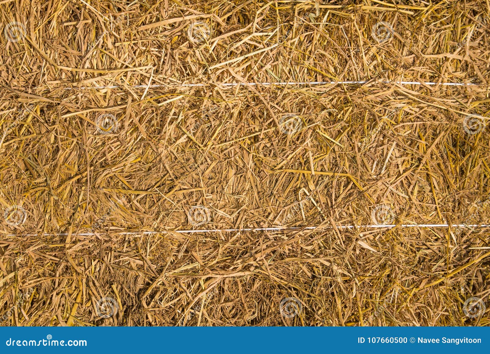 Texture de fond de paille, photo stock. Image du centrale - 107660500