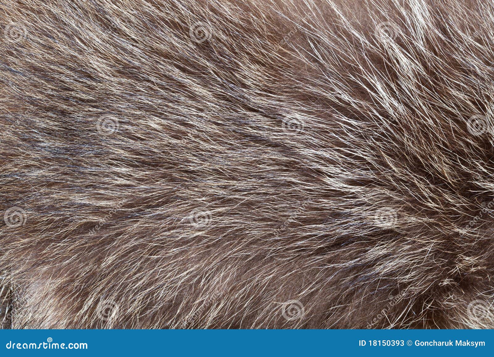 Texture de fourrure image stock. Image of couche, chaud - 18150393