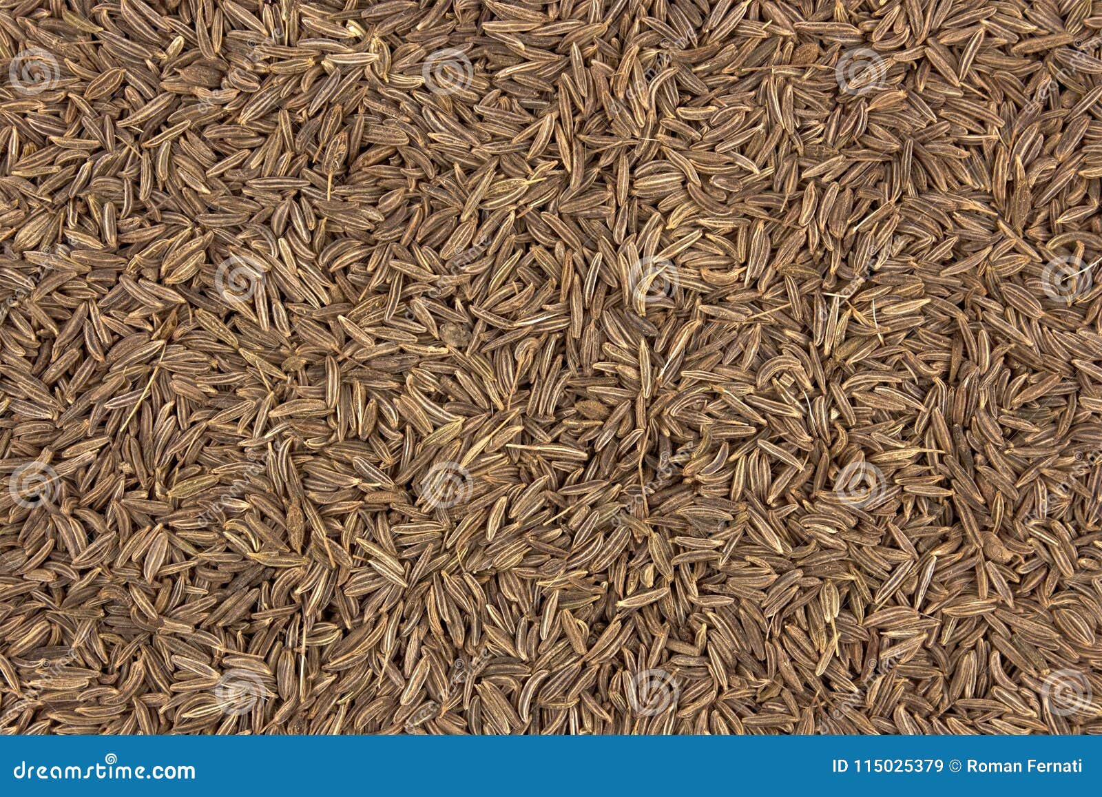 Texture De Graines De Cumin, Plein Fond De Trame Image stock - Image du ...