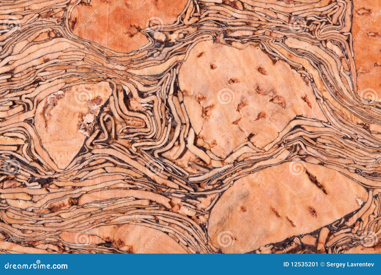 Texture de liège image stock. Image du bois, matériau - 12535201