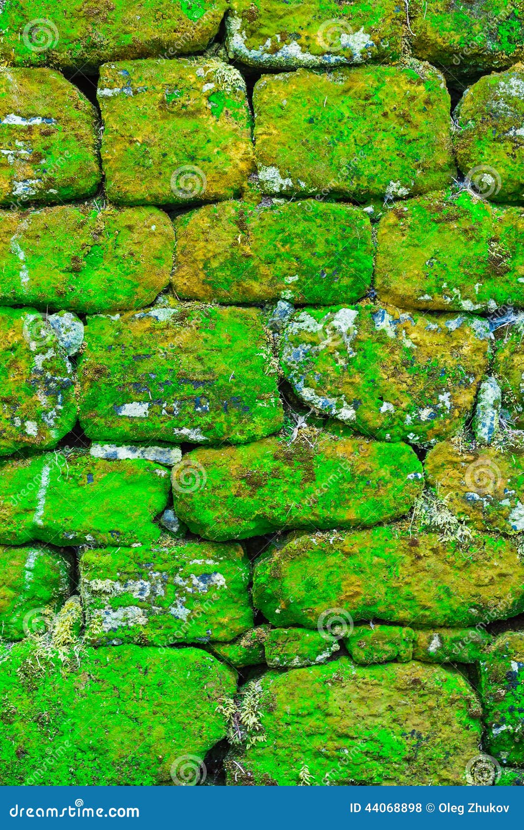 Texture De Mur De Roche Envahie Avec De La Mousse Photo stock - Image ...