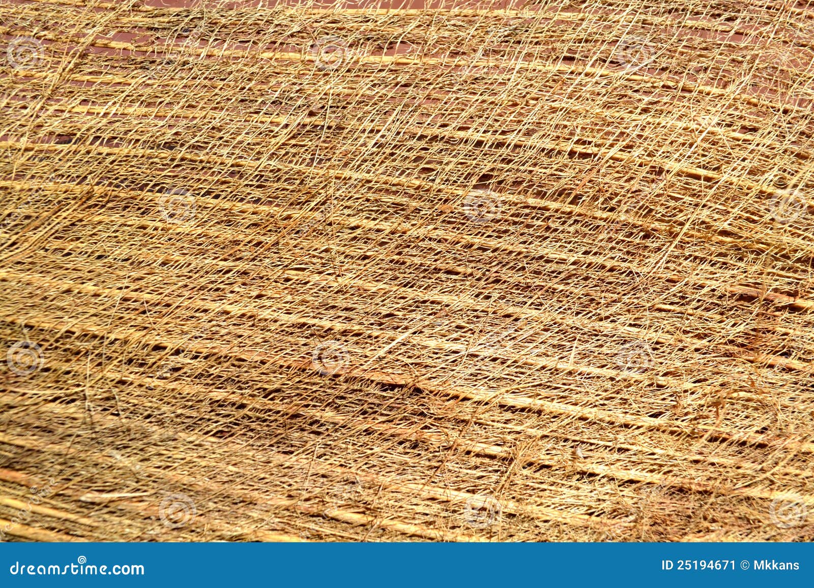 Texture de noix de coco image stock. Image du bois, couvert - 25194671