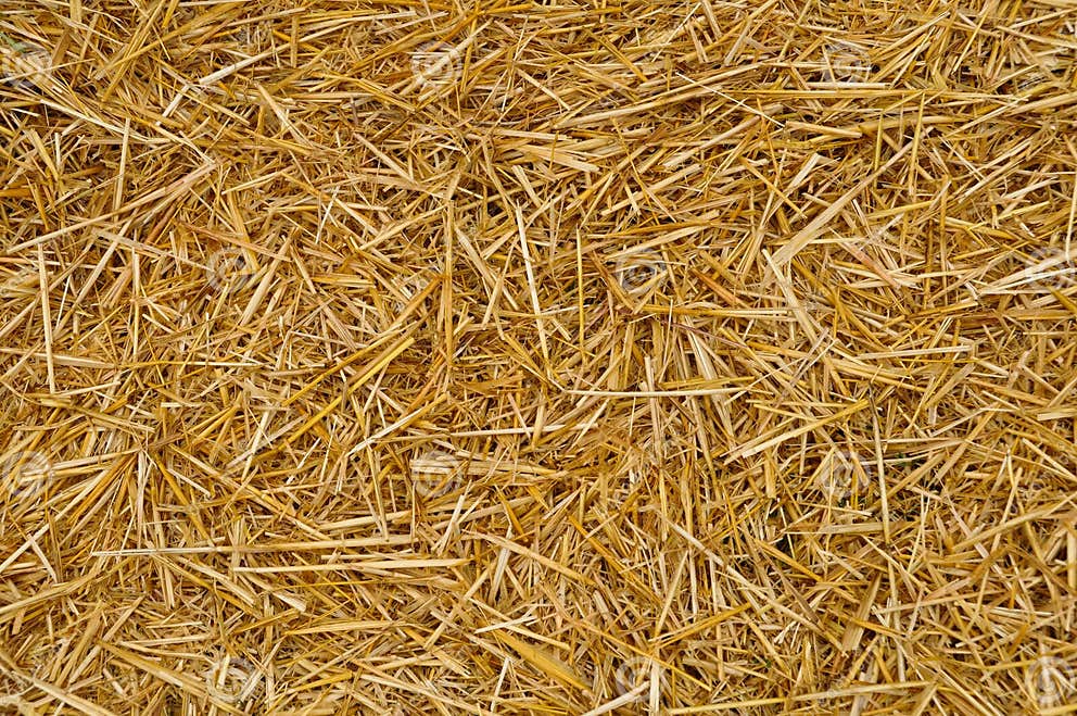 Texture de paille image stock. Image du ornement, haystack - 16886027