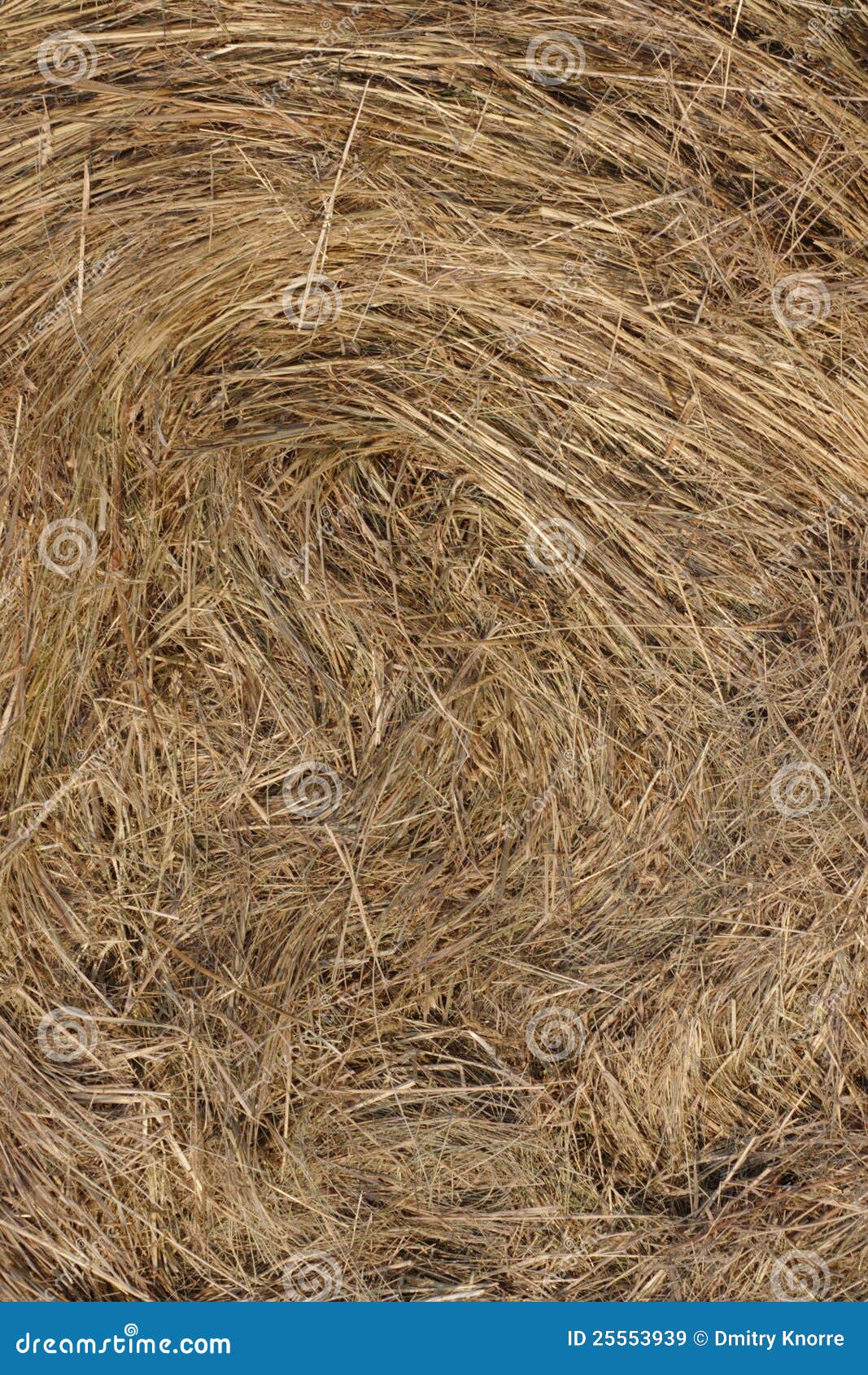 Texture de paille image stock. Image du foin, champs - 25553939