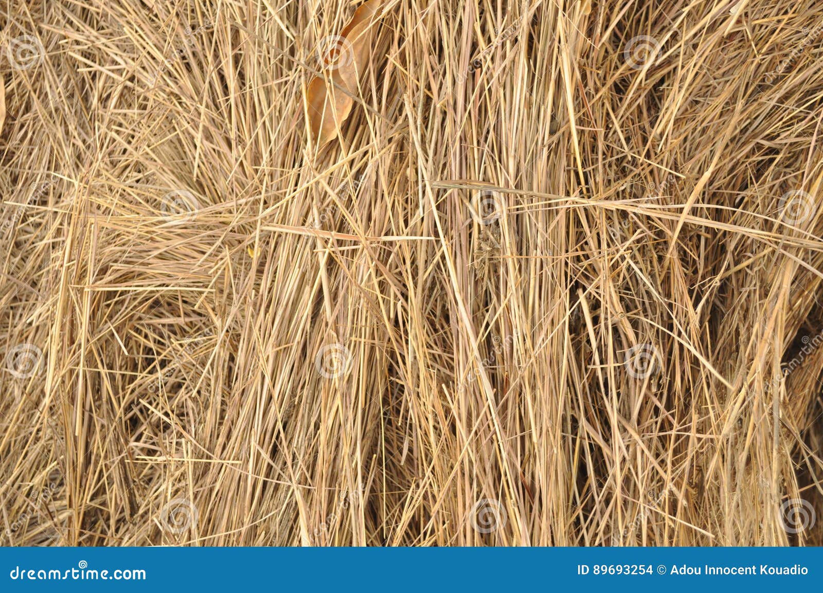 Texture de paille photo stock. Image du céréales, moisson - 89693254
