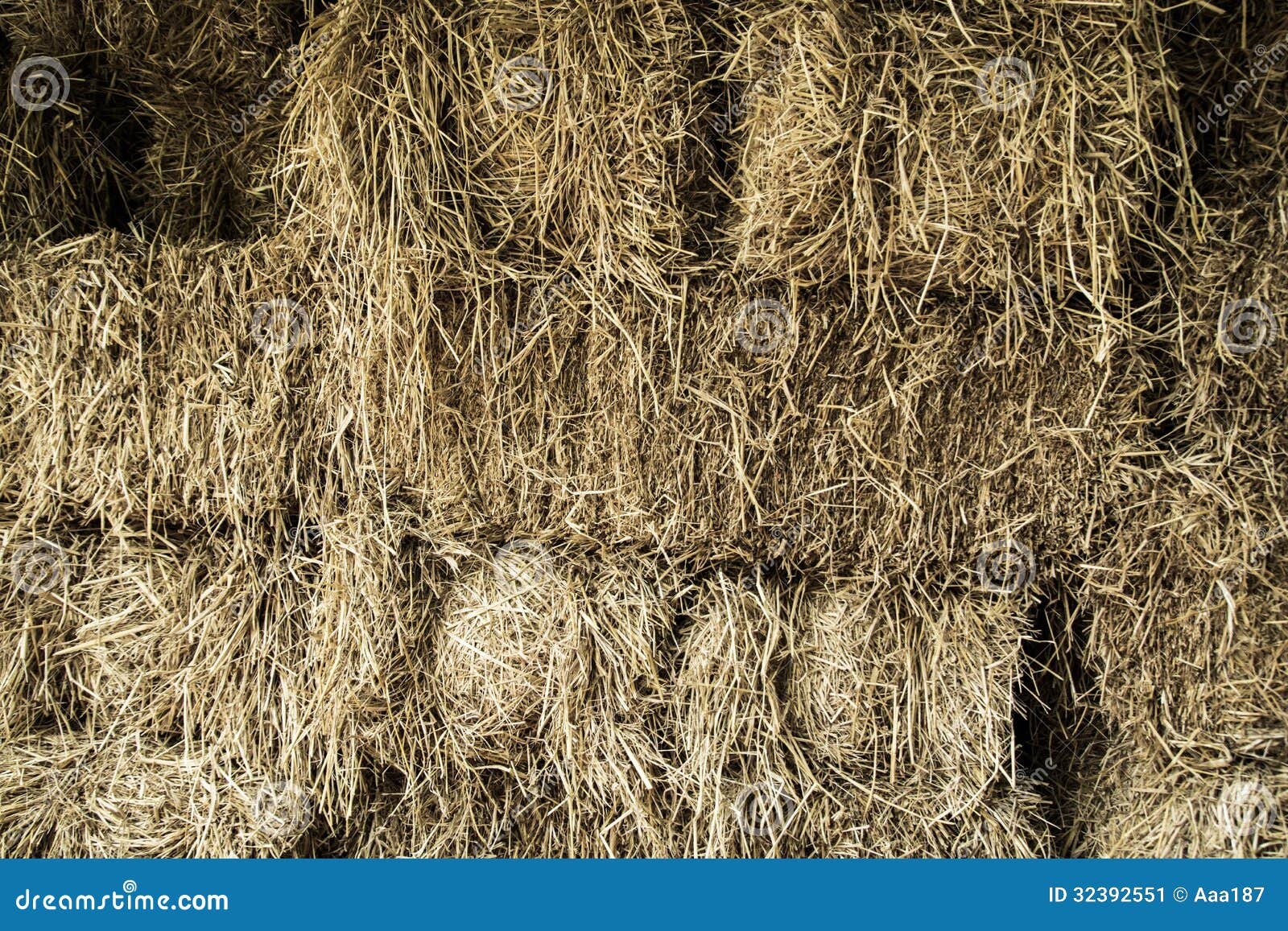 Texture de paille de riz image stock. Image du scène - 32392551