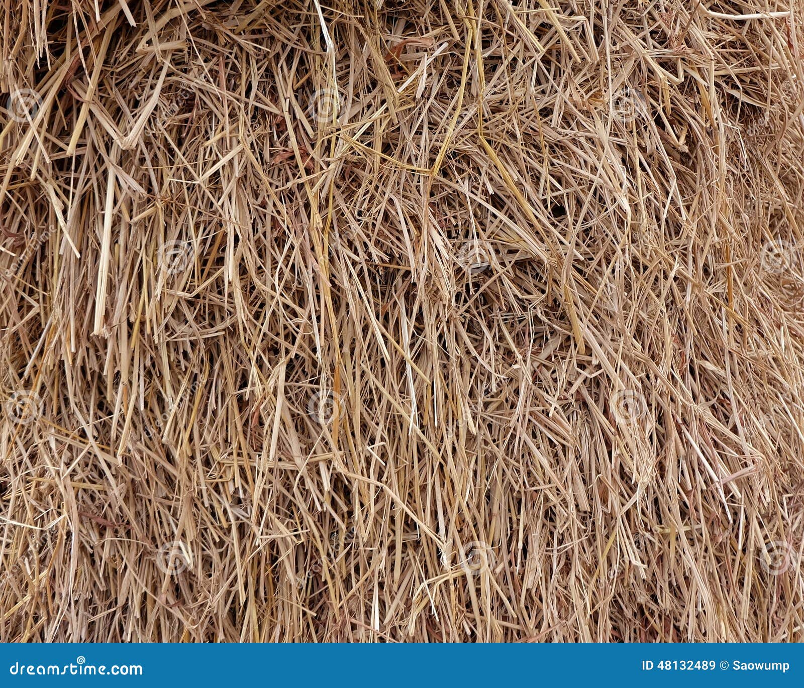 Texture de paille de riz image stock. Image du paille - 48132489