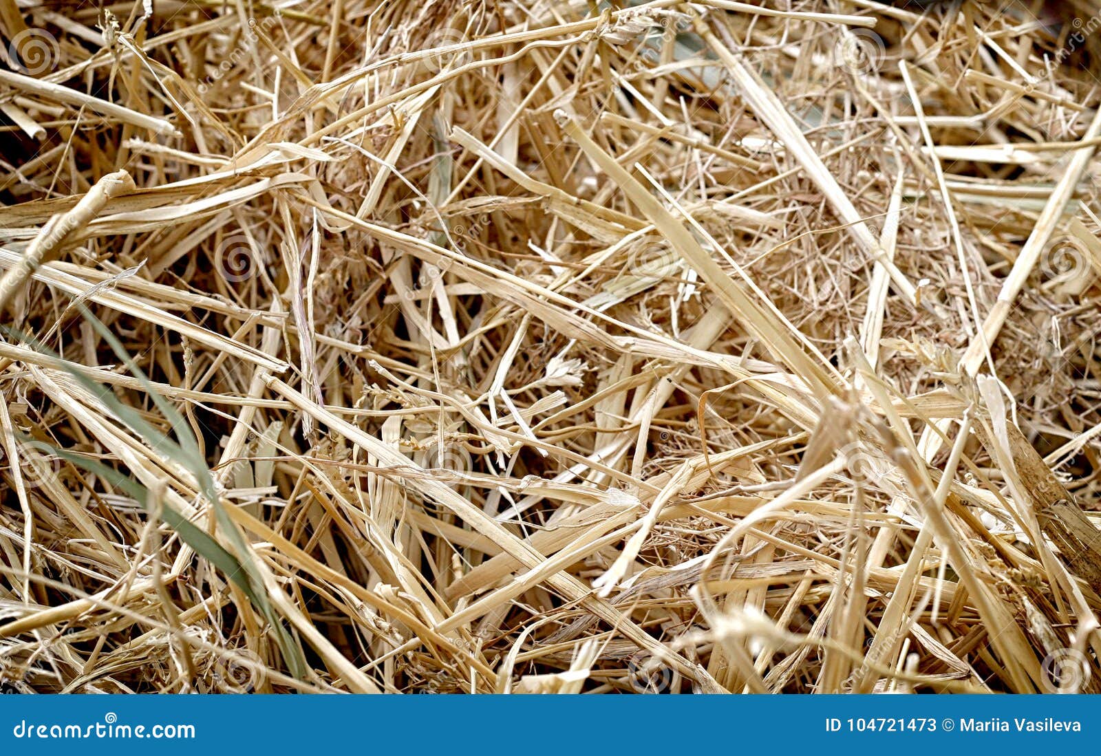 Texture De Paille, Fond, Travail De Ferme Image stock - Image du normal ...