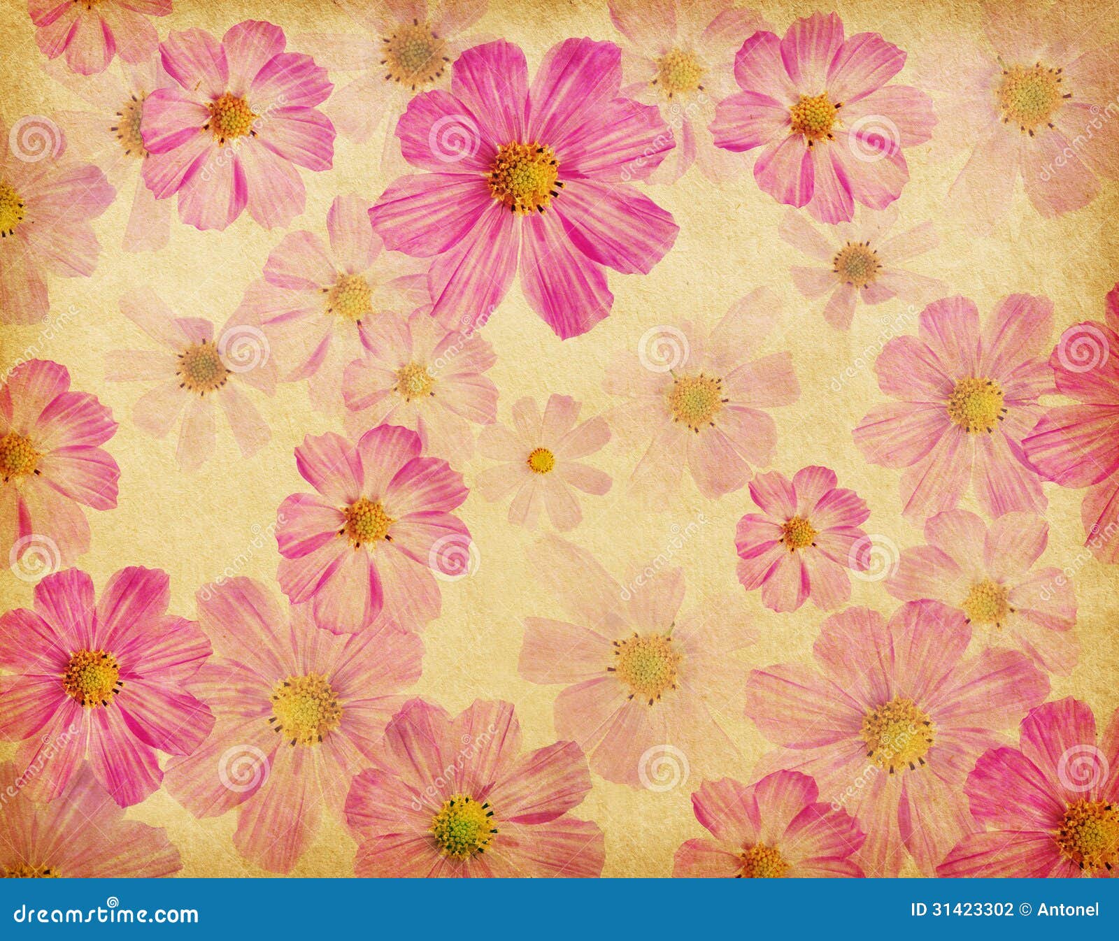 Texture De Papier Avec De Belles Fleurs Roses. Photo stock - Image du ...