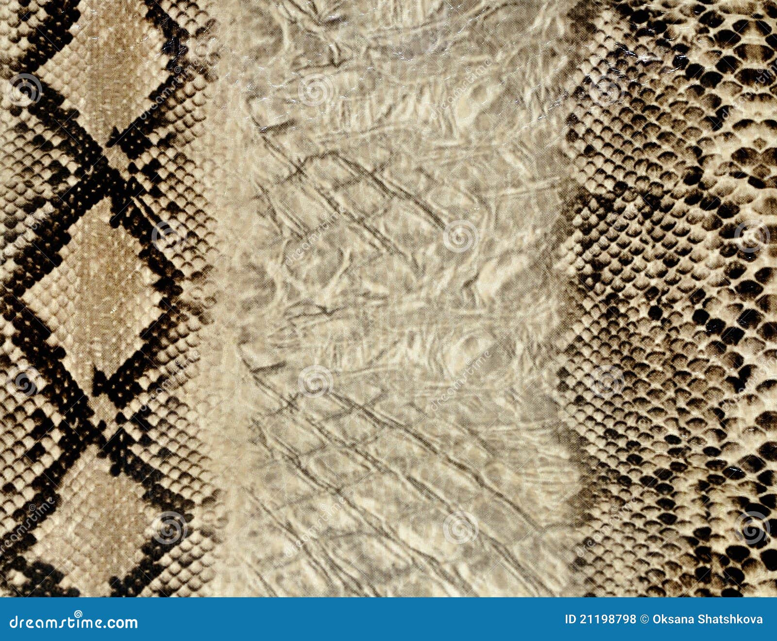 Texture de peau de serpent photo stock. Image du exotique - 21198798