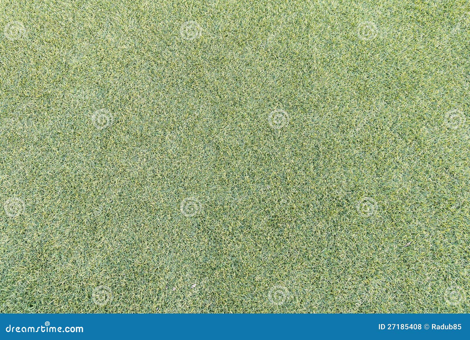 Texture de pelouse photo stock. Image du agriculture - 27185408