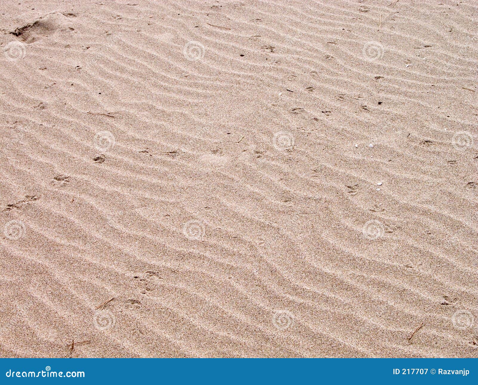 Texture de plage de sable image stock. Image du plage, graveleux - 217707