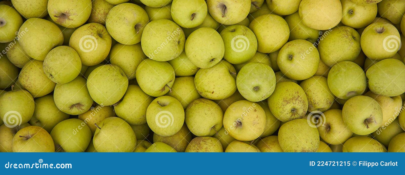 Texture de pomme verte image stock. Image du normal - 224721215