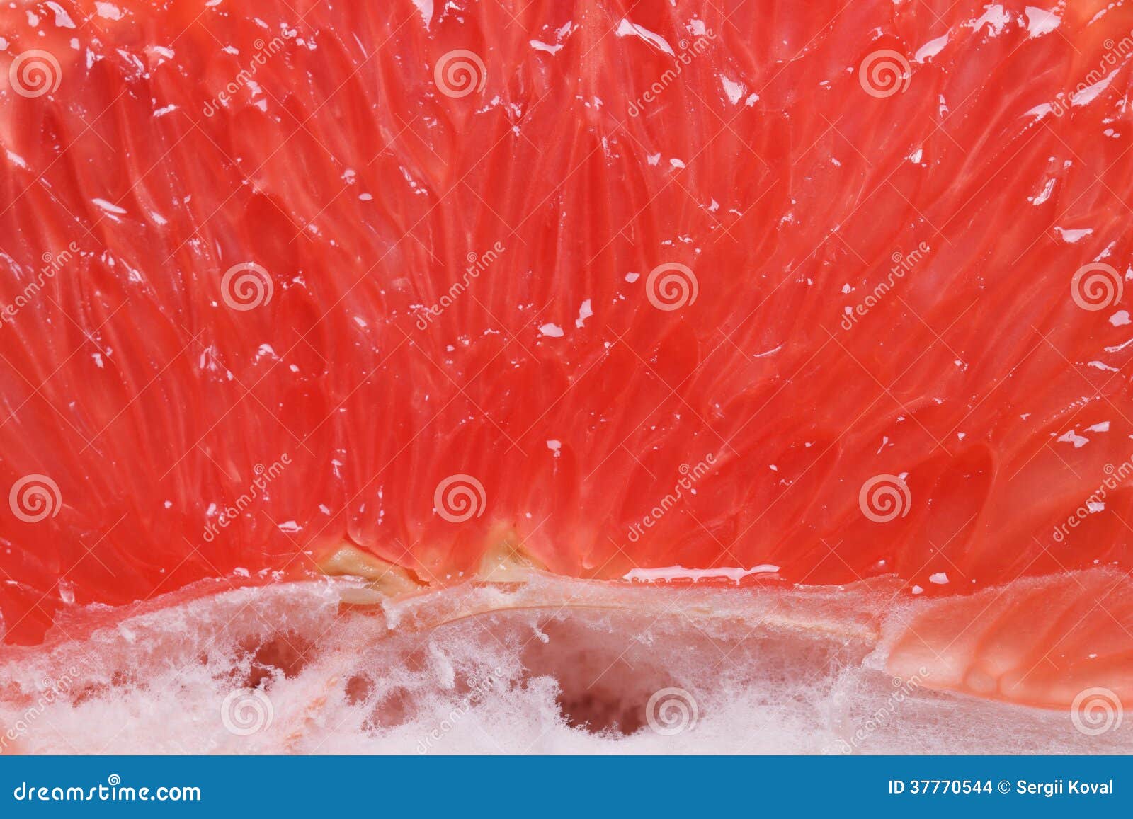 Texture De Pulpe Rouge De Pamplemousse. Horizontal Photo stock - Image ...