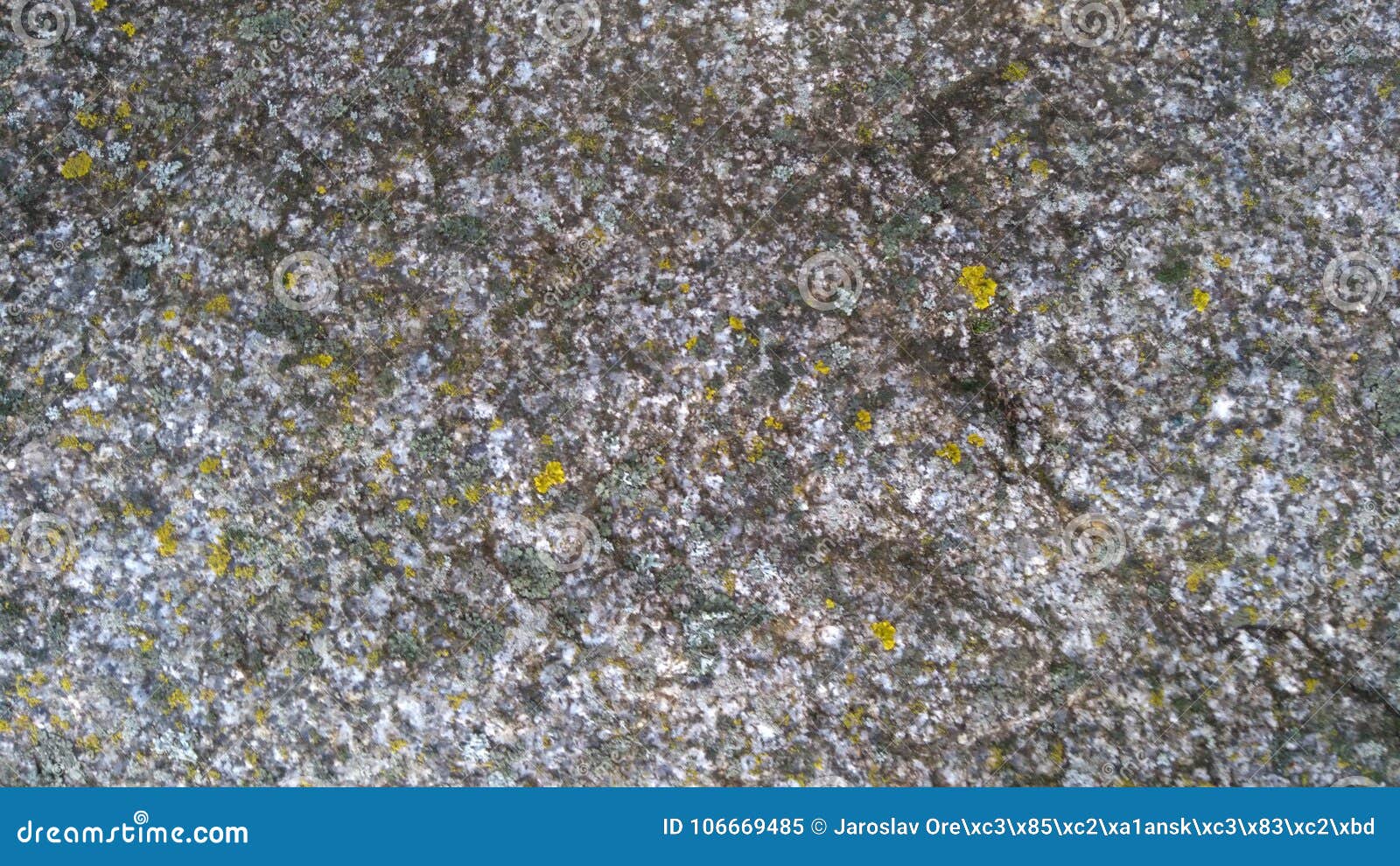 Texture De Roche Avec De La Mousse Image stock - Image du pierre ...