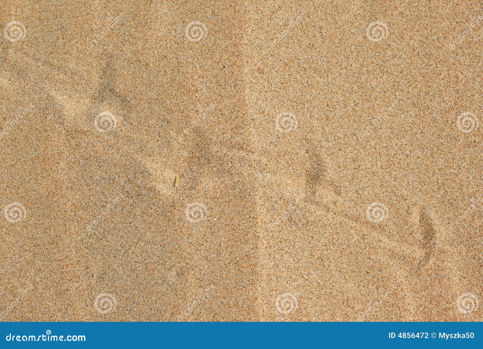 Texture de sable photo stock. Image du plage, texture - 4856472