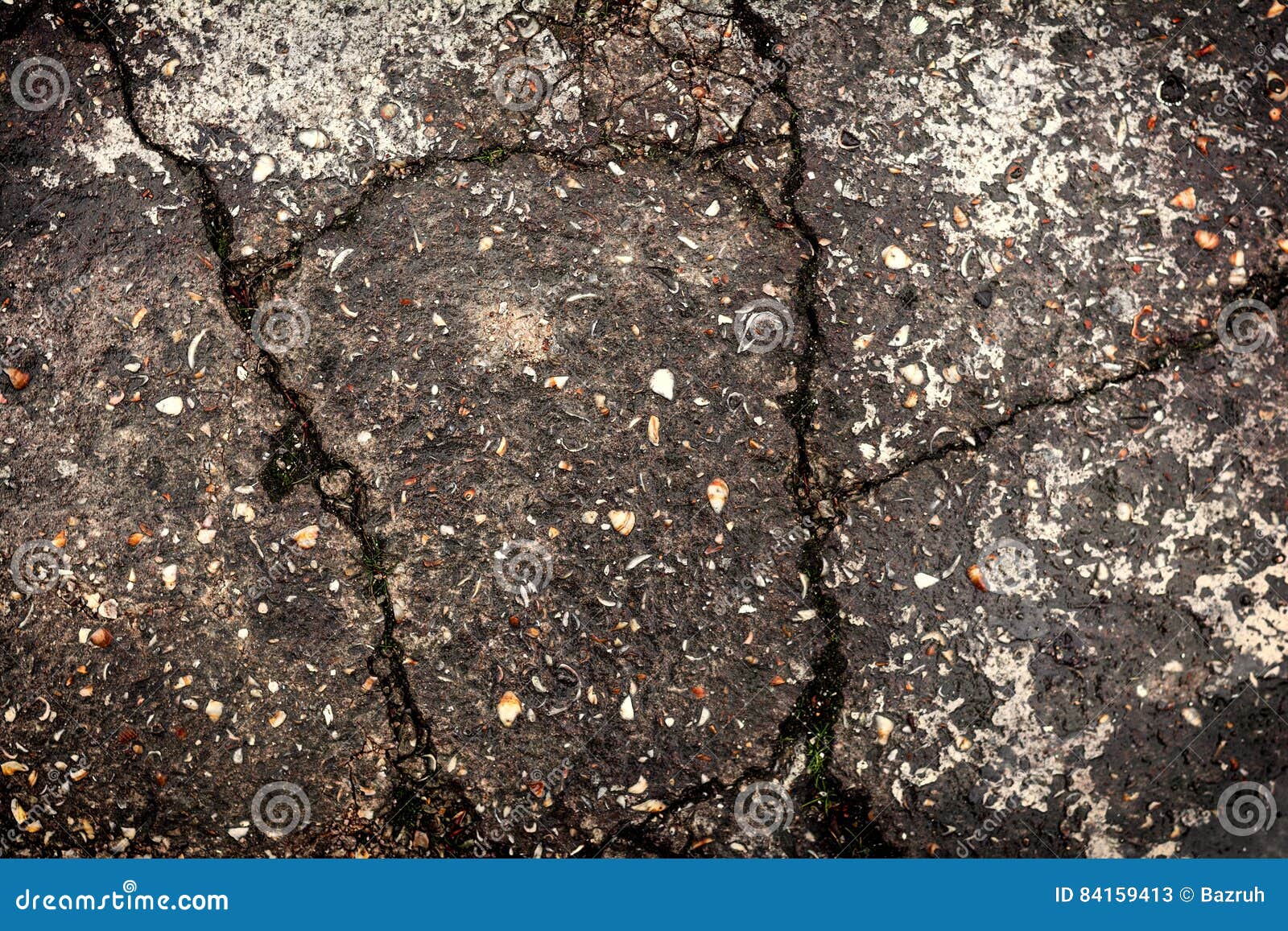 Texture de sol image stock. Image du earth, fond, compost - 84159413