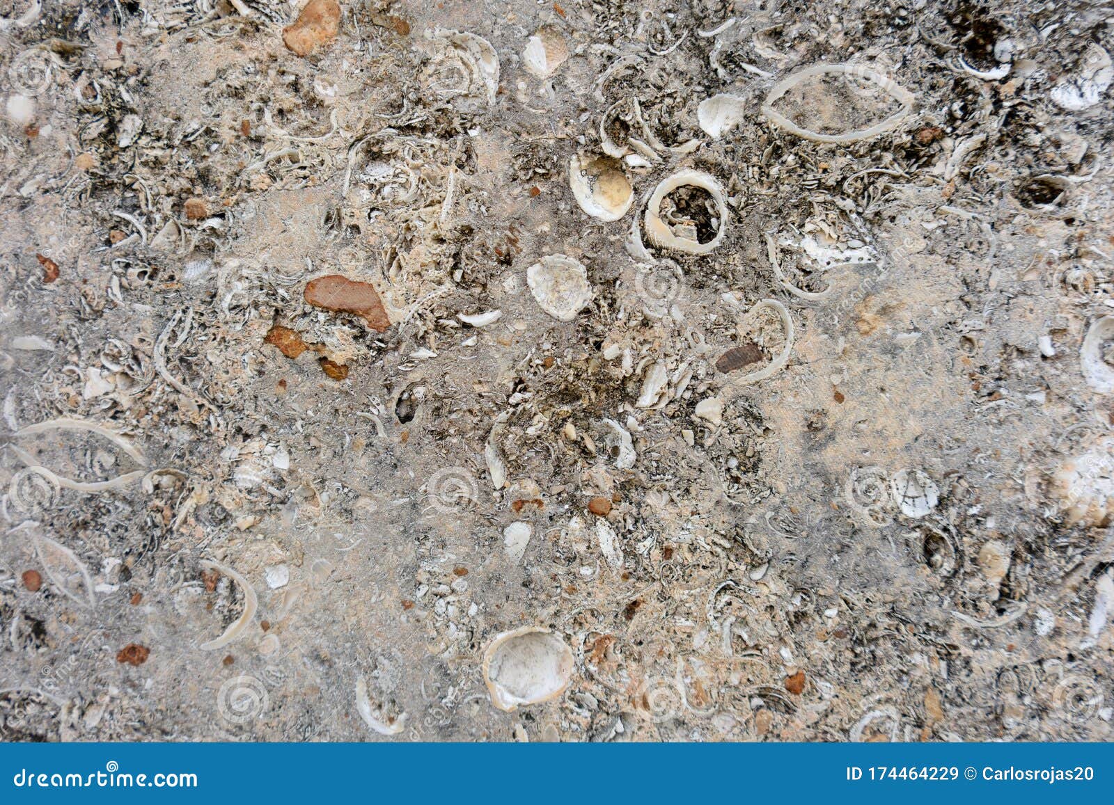 Texture de sol calcaire image stock. Image du seamless - 174464229