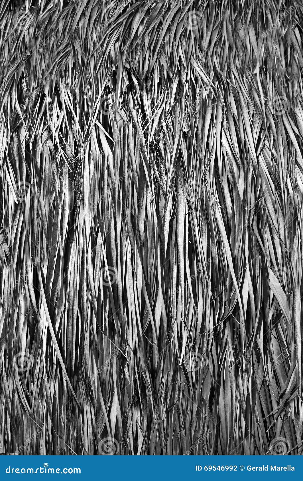 Texture De Toit Couvert De Chaume Photo stock - Image du configuration ...