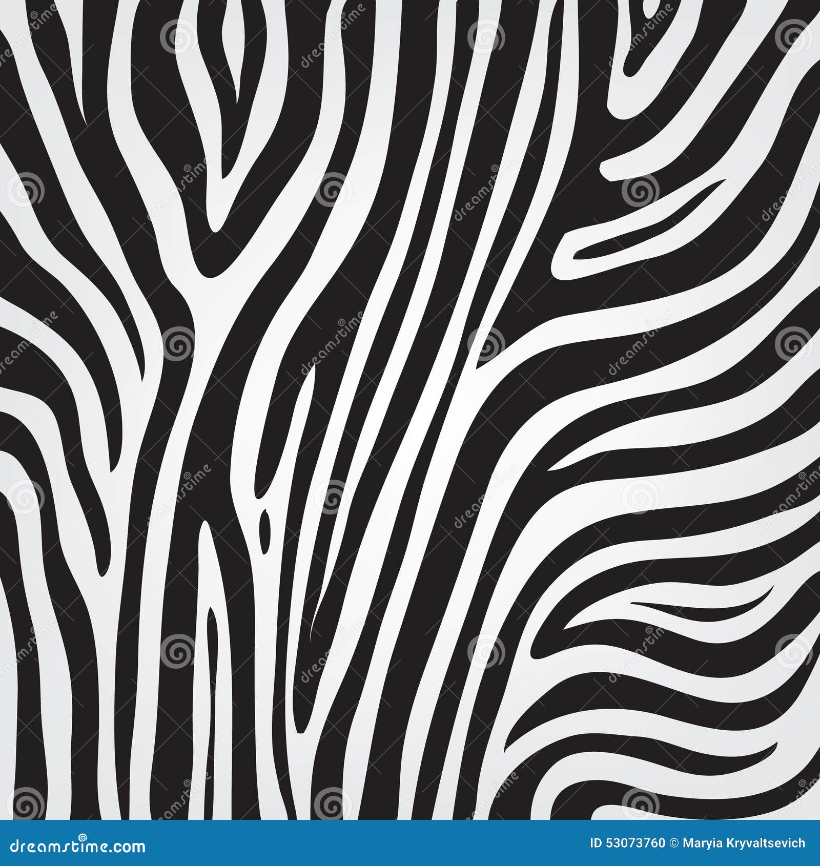 Texture De Zèbre De Vecteur Illustration de Vecteur - Illustration du ...