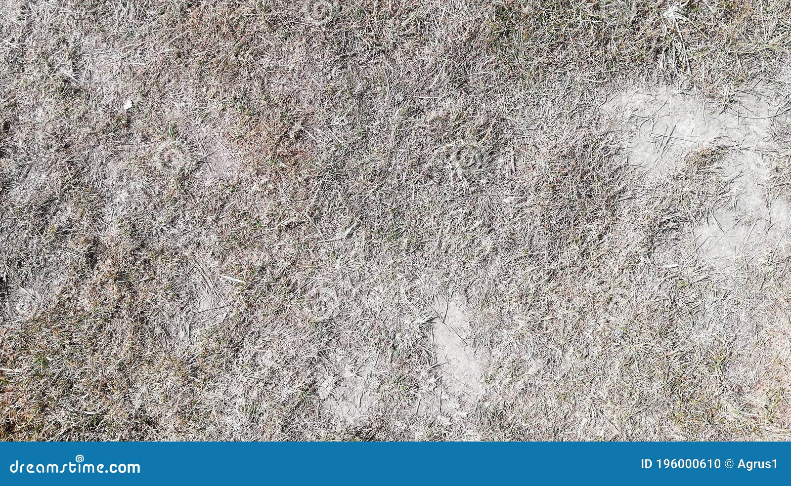 Texture of Dead Grass Field Stock Photo - Image of nature, pattern ...