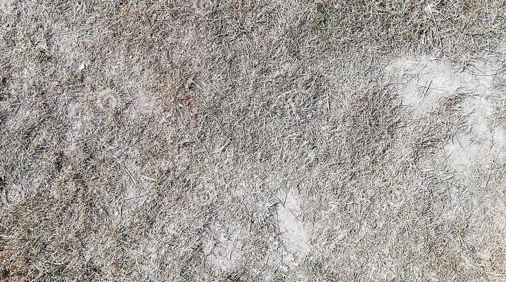 Texture of Dead Grass Field Stock Photo - Image of nature, pattern ...